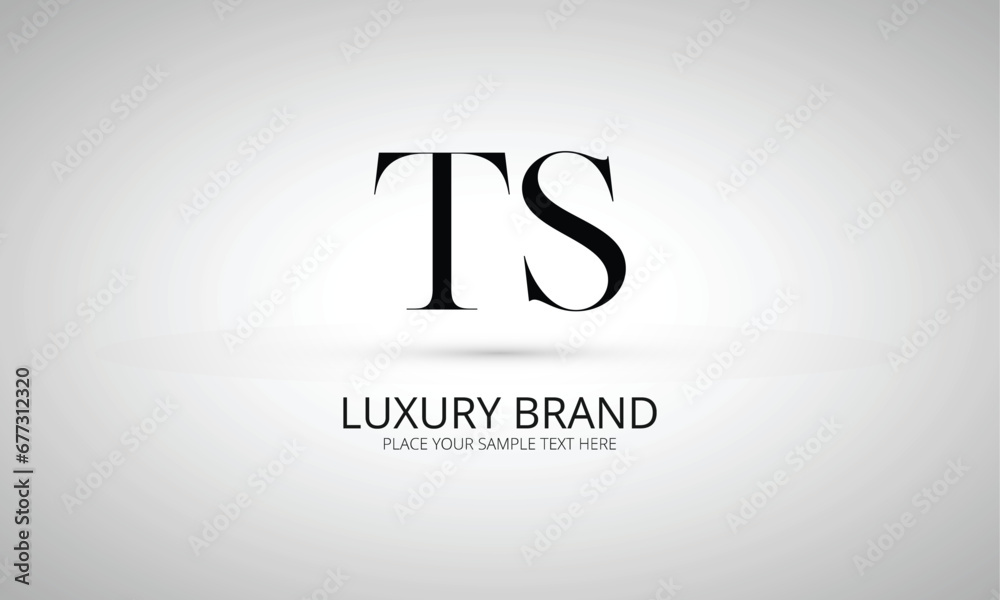 TS T ts initial logo | initial based abstract modern minimal creative ...