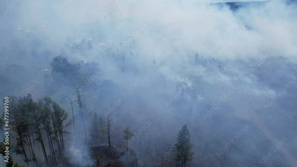 Wildfire aerial view. Fire and smoke. Burning forest. Natural disaster ...