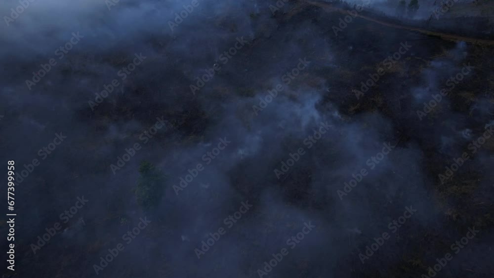 Wildfire aerial view. Fire and smoke. Burning forest. Natural disaster ...