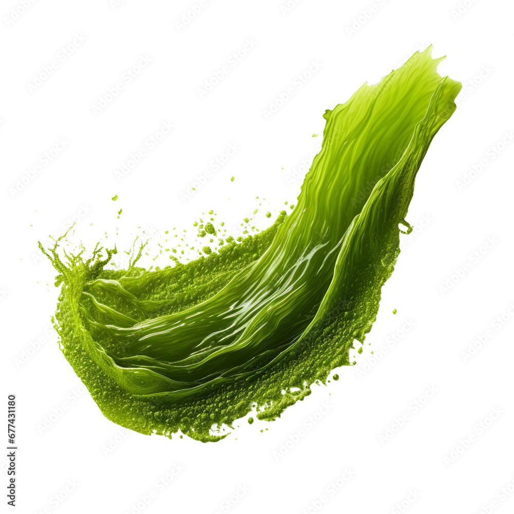 Green Algae, transparent background, isolated image, generative AI ...