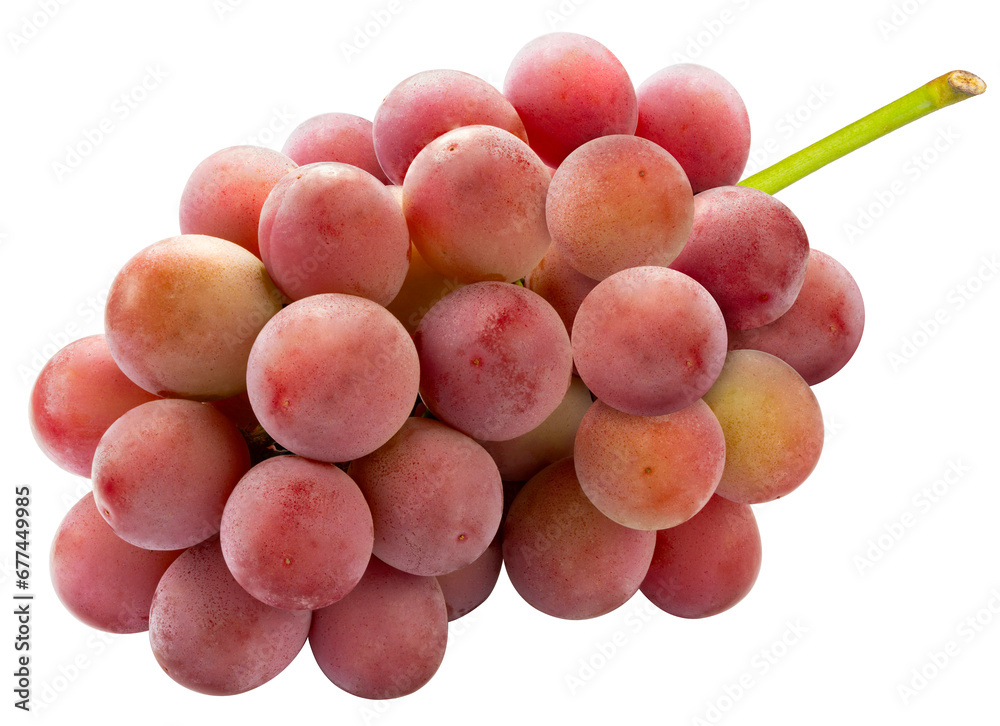 Sweet Red Queen Nina Grape isolated on white, Japanese Grape isolated ...