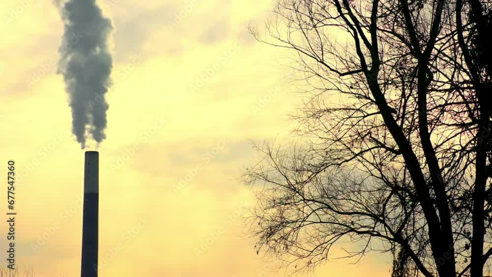 Steam and smoke from thermal power plant, air pollution from steam ...