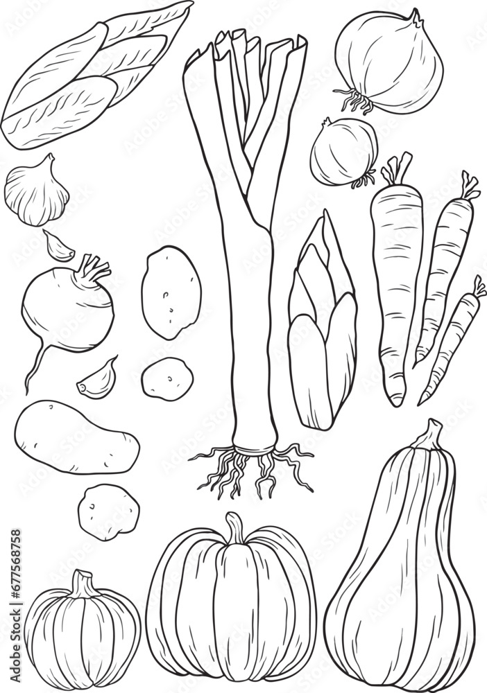 Set of fresh healthy hand-drawing vegetables isolated on white ...