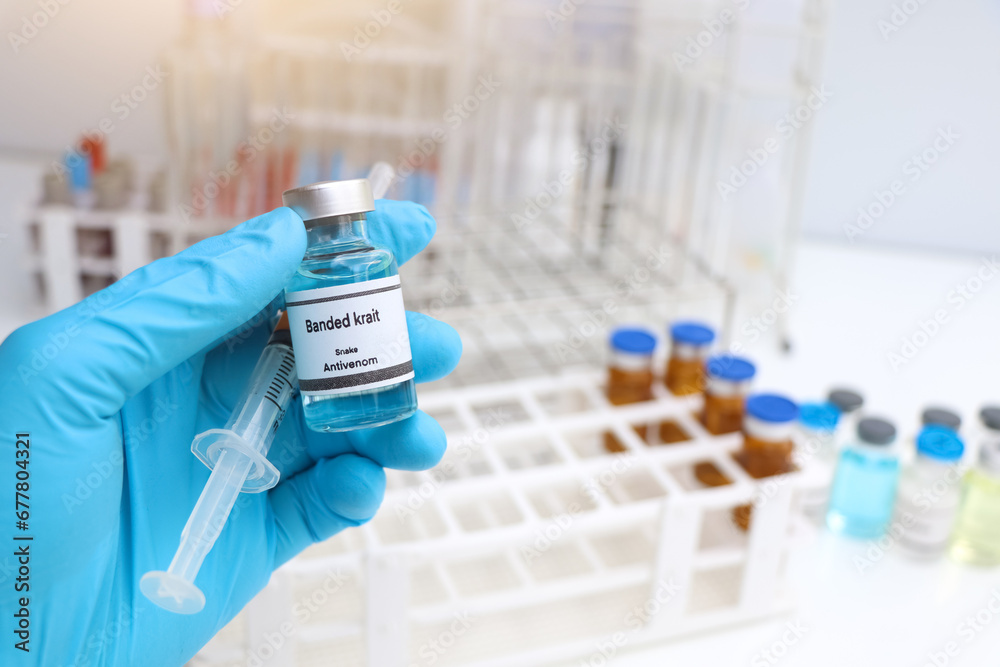 Banded krait, Snake antivenoms in a vial, Serum for injection to ...