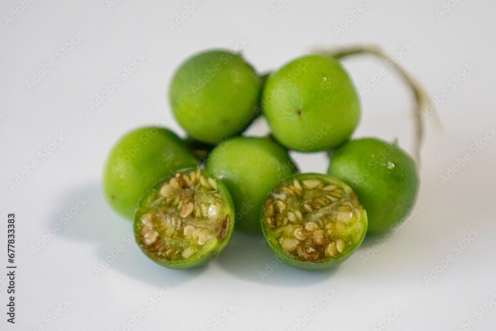 Macro photo of "Solanum torvum", also known as jurubeba, pendejera ...