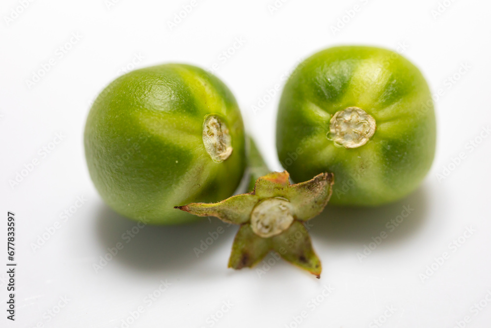 Macro photo of "Solanum torvum", also known as jurubeba, pendejera ...