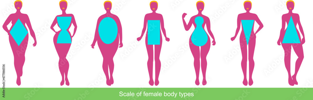 Seven types of female figures with reference to geometric shapes. Flat ...