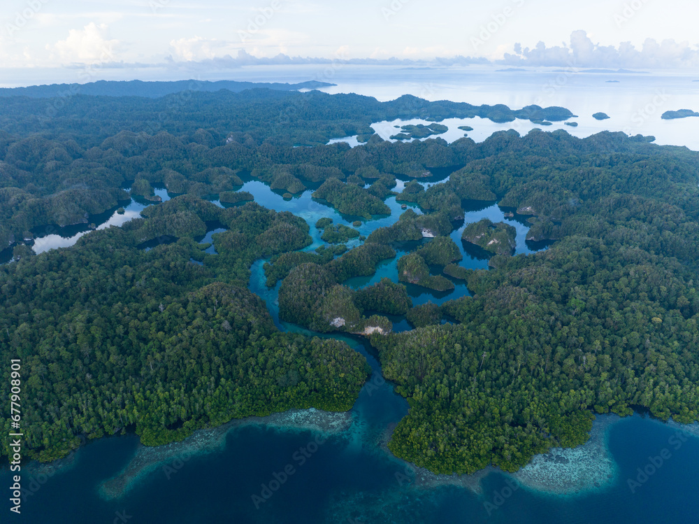 Scenic islands inside the larger island of Gam are fringed by mangrove ...