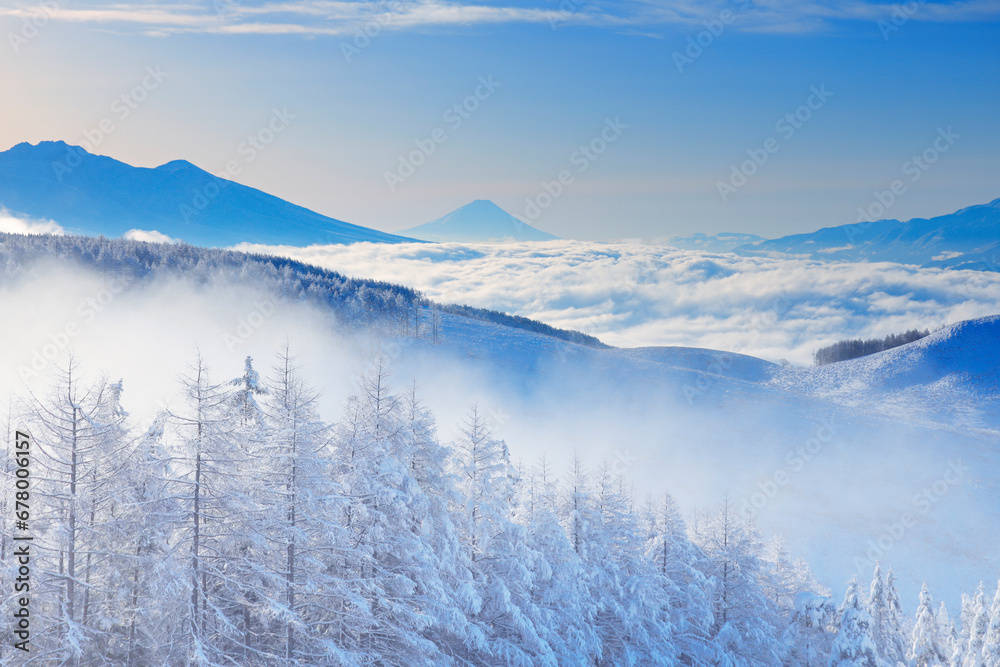 Yatsugatake mountain range, Mt. Fuji, sea of clouds, larch forest with ...