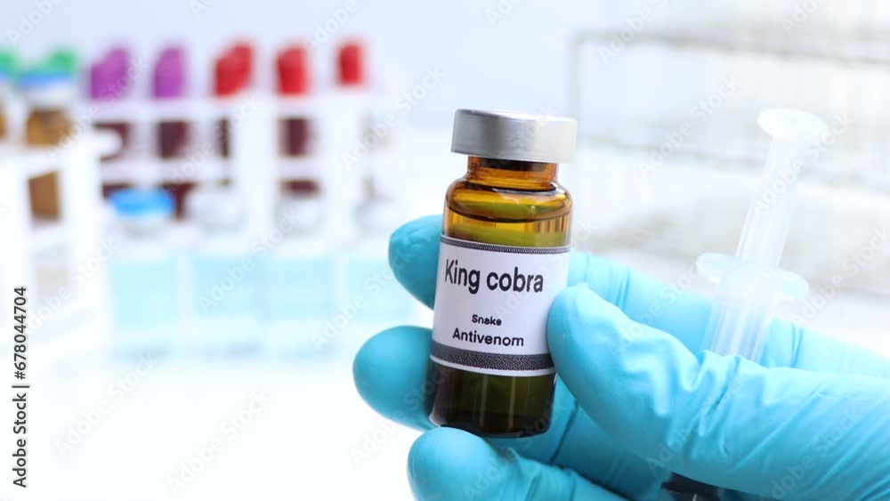 king cobra, Snake antivenoms in a vial, Serum for injection to prevent ...