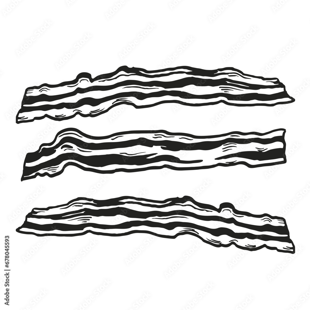 Hand drawn vector sketch of baked fried bacon strips, three grilled ...