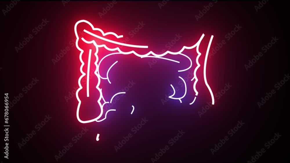 Red neon anatomy of the human digestive system. Anatomy of the human ...