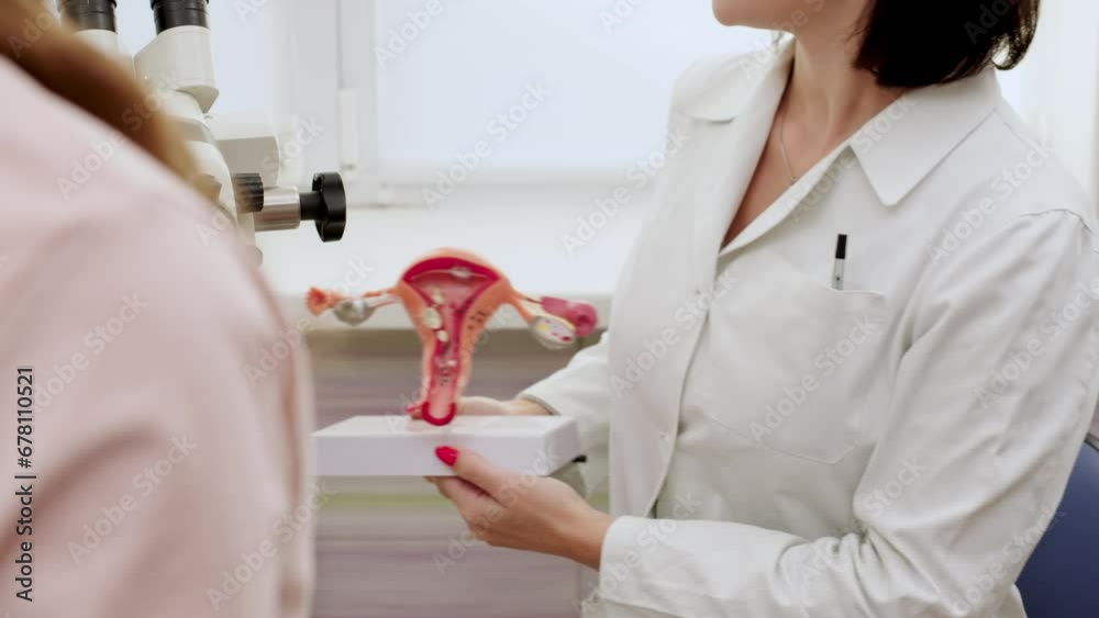 A gynecologist explains female diseases to a patient using a plastic ...