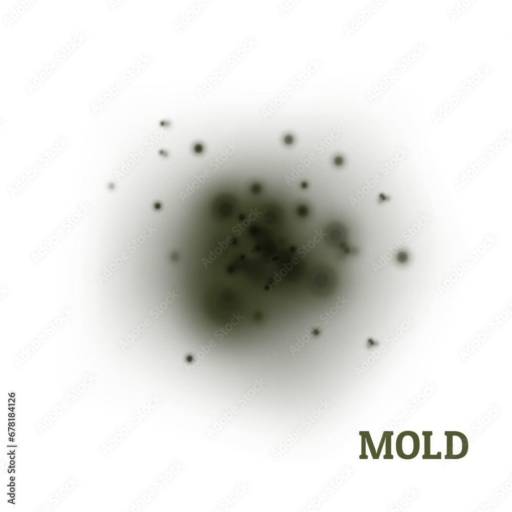 Black mold. Fungus, the wall of an apartment, a house, poisonous spores ...