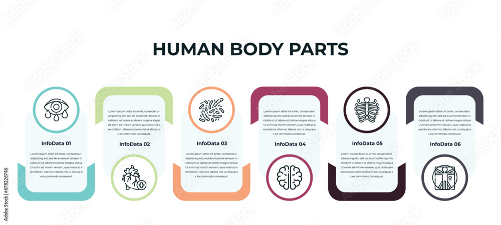 sweat or tear drop, human heart, digestive system, brain inside human ...