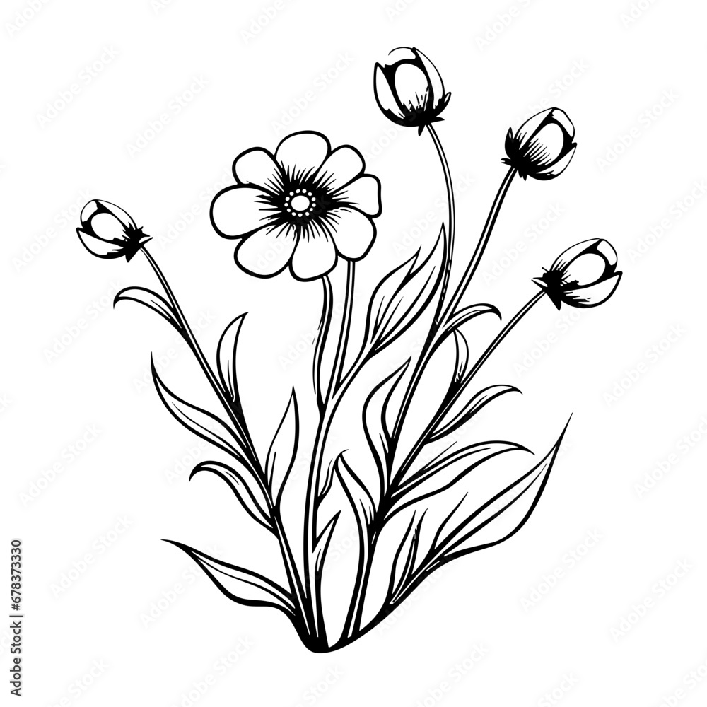 line drawing, line art png, line art prints, spring clipart, line art ...