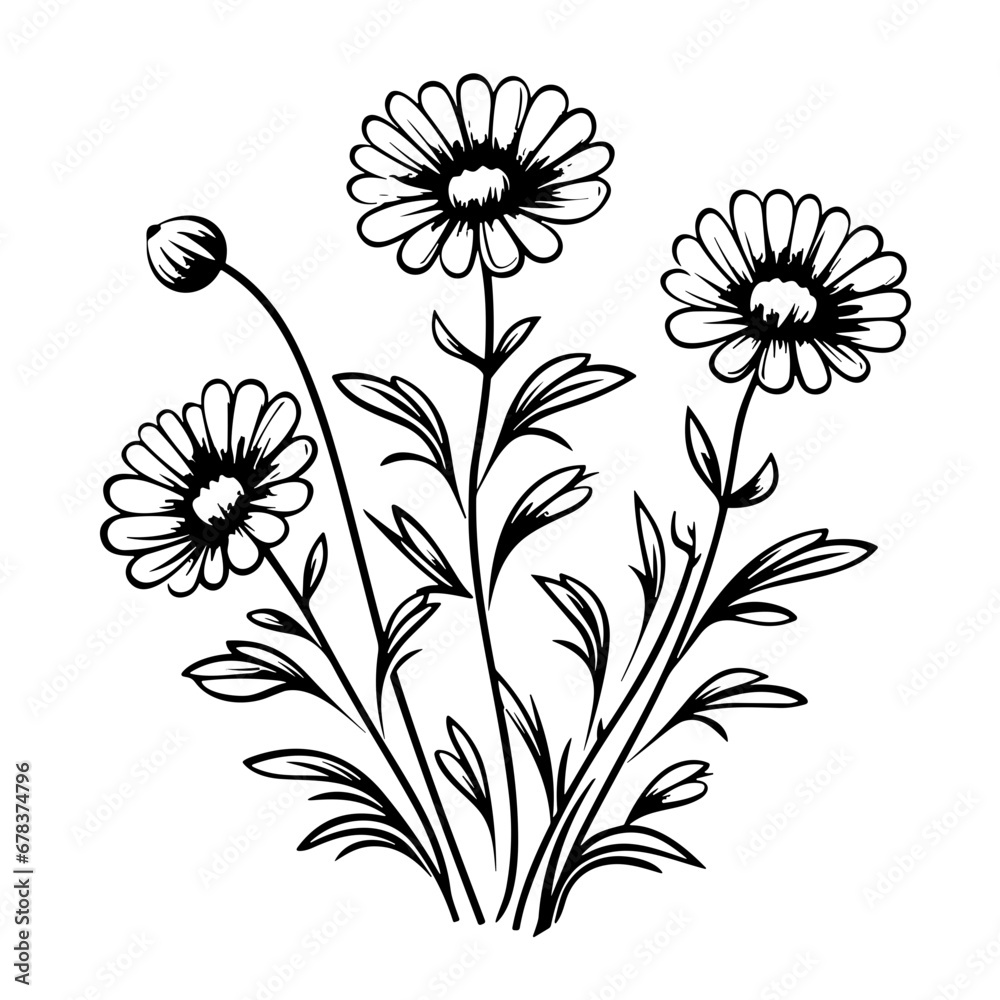 line drawing, line art png, line art prints, spring clipart, line art ...