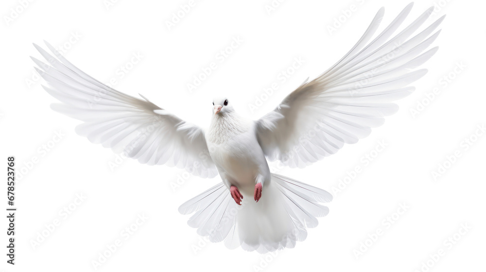 white dove flying on the transparent background Stock Photo | Adobe Stock