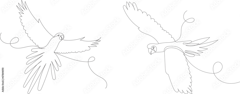 Poster flying parrot line drawing on white background vector – Wall Art ...