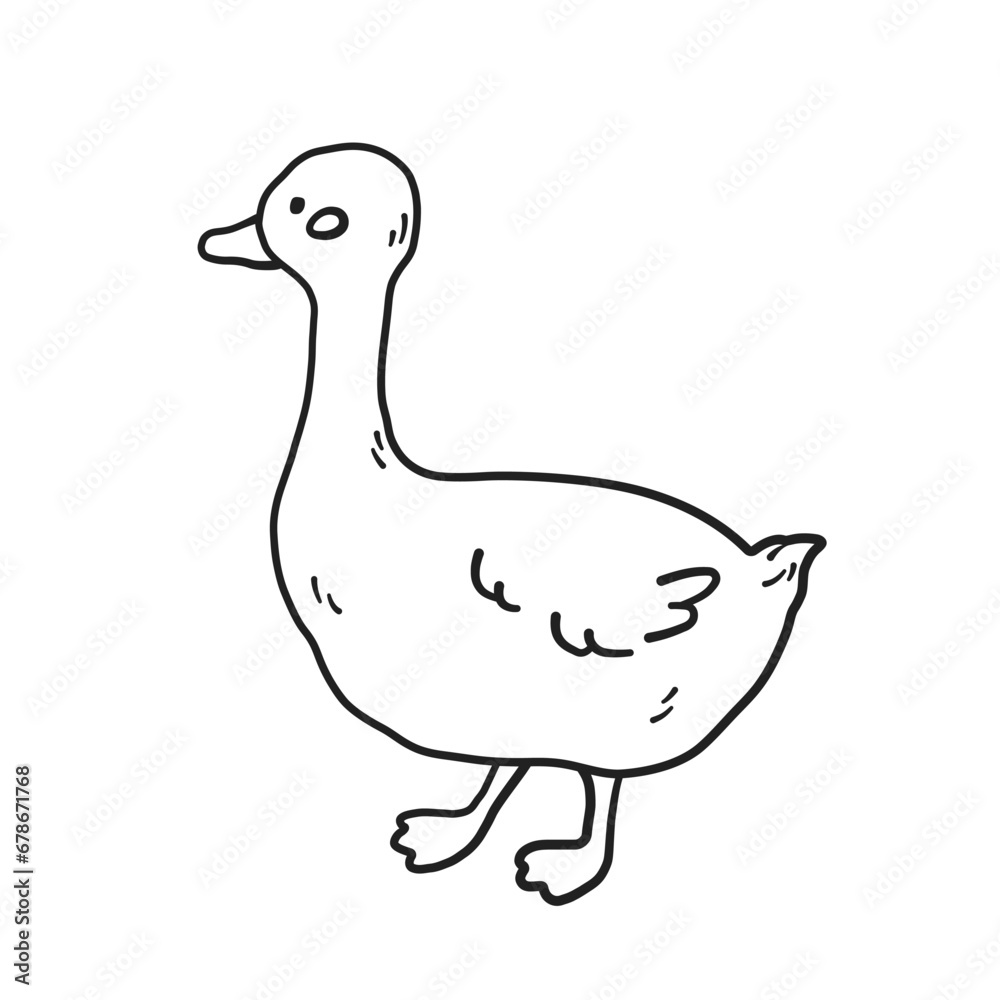Cute goose outline. Domestic bird, farm animal in doodle and linear ...