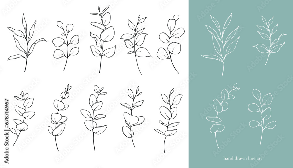 Eucalyptus Line Art. Floral Frames and Bouquets Line Art. Fine Line ...