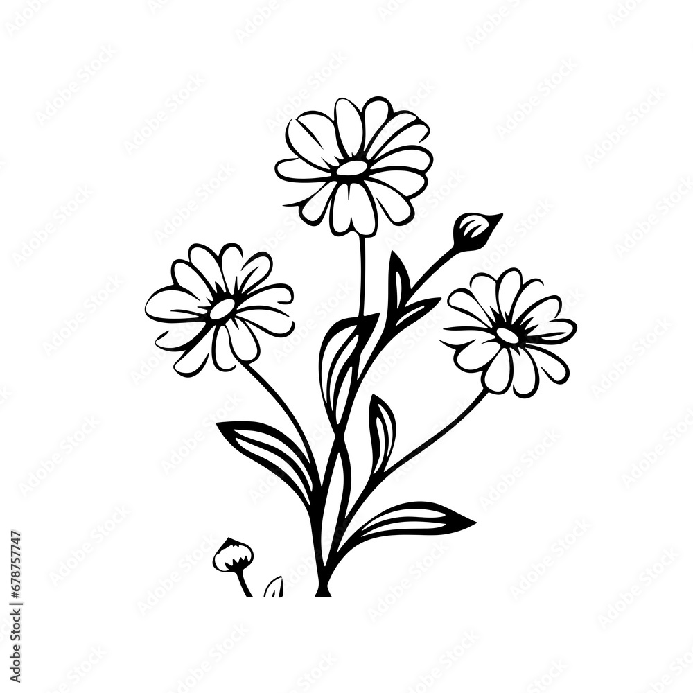 line drawing, line art png, line art prints, spring clipart, line art ...
