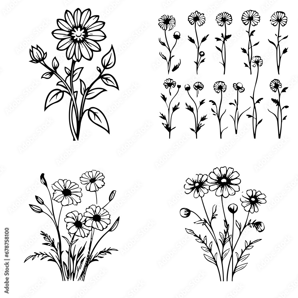 line drawing, line art png, line art prints, spring clipart, line art ...