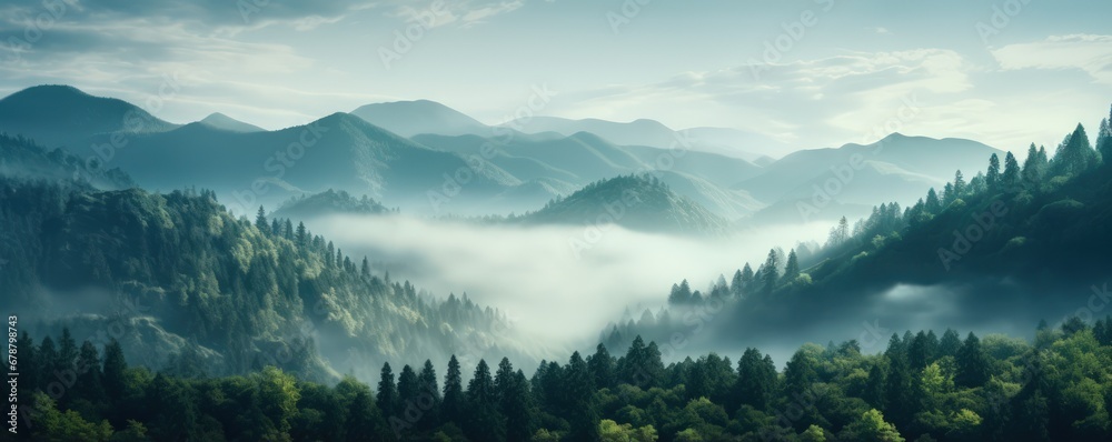 Fog conceals details of mountains with trees inviting greater sense of ...