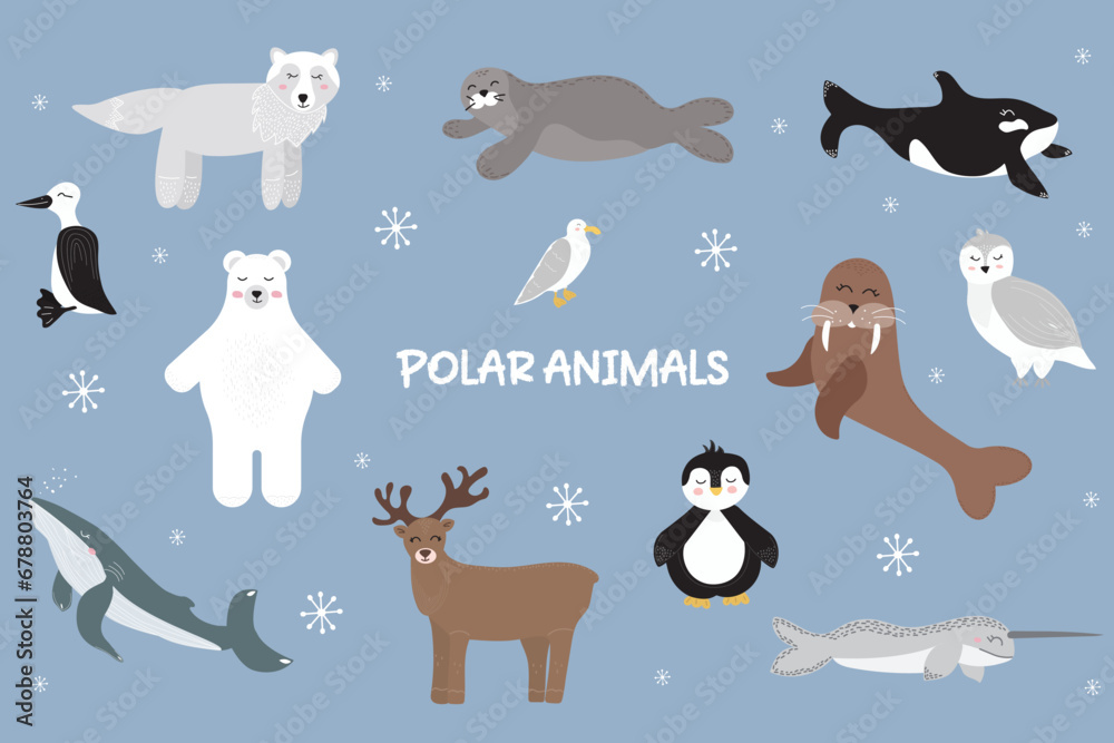Vector illustration of cute polar animals, seabirds and mammals. Big ...