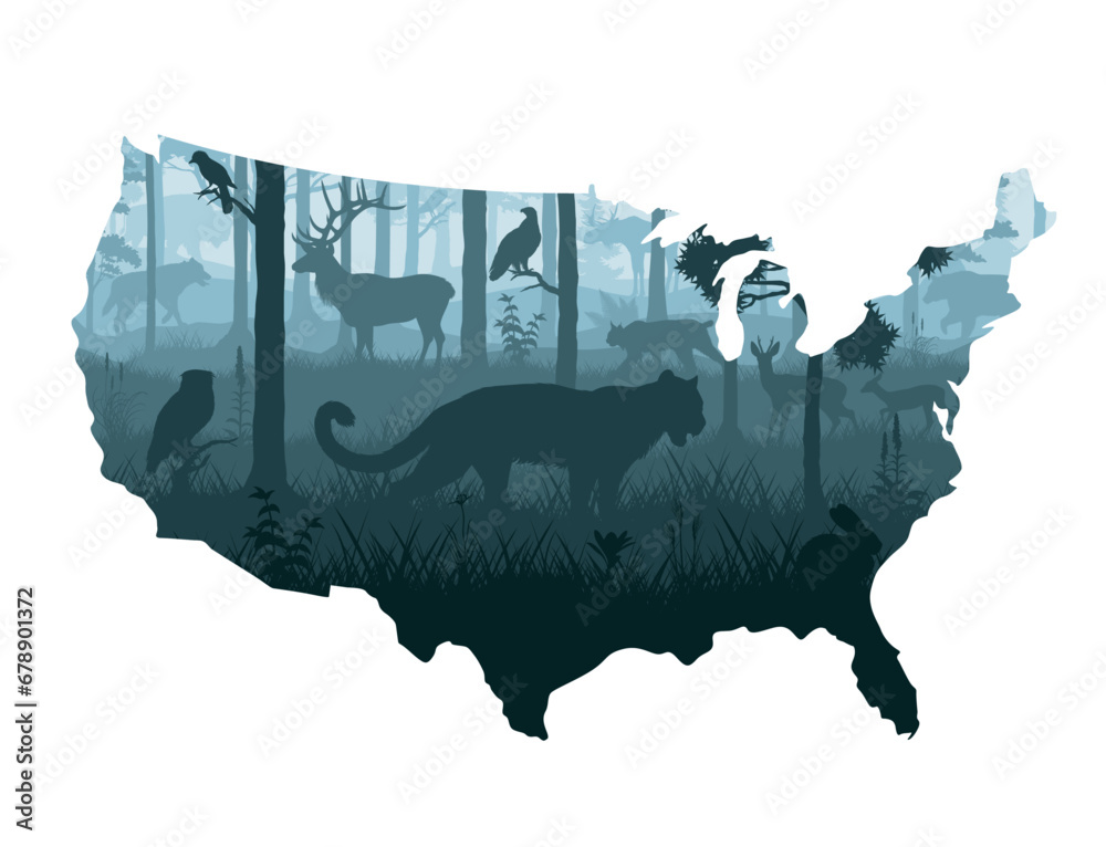 USA map - woodland forest with cougar puma, grey wolf, eagle, lynx ...