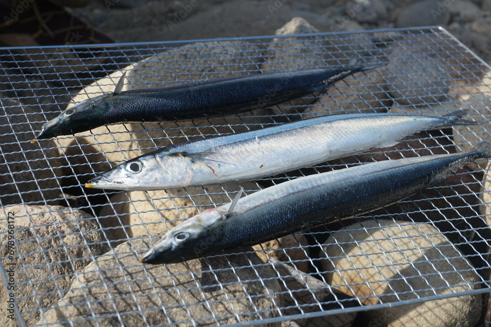 Japanese Sanma or Saury Fish on grill mesh. Sanma, grilled fish ...