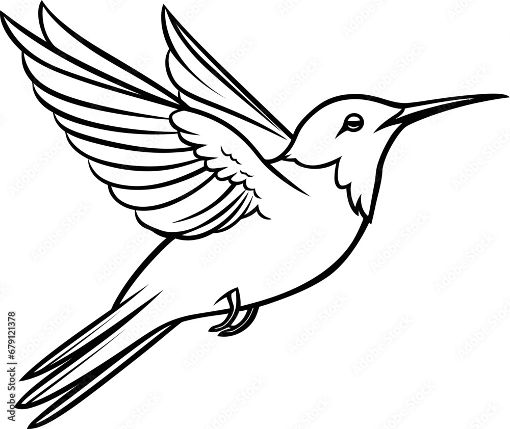 Hummingbird black and white coloring page, vector stock photo Stock ...