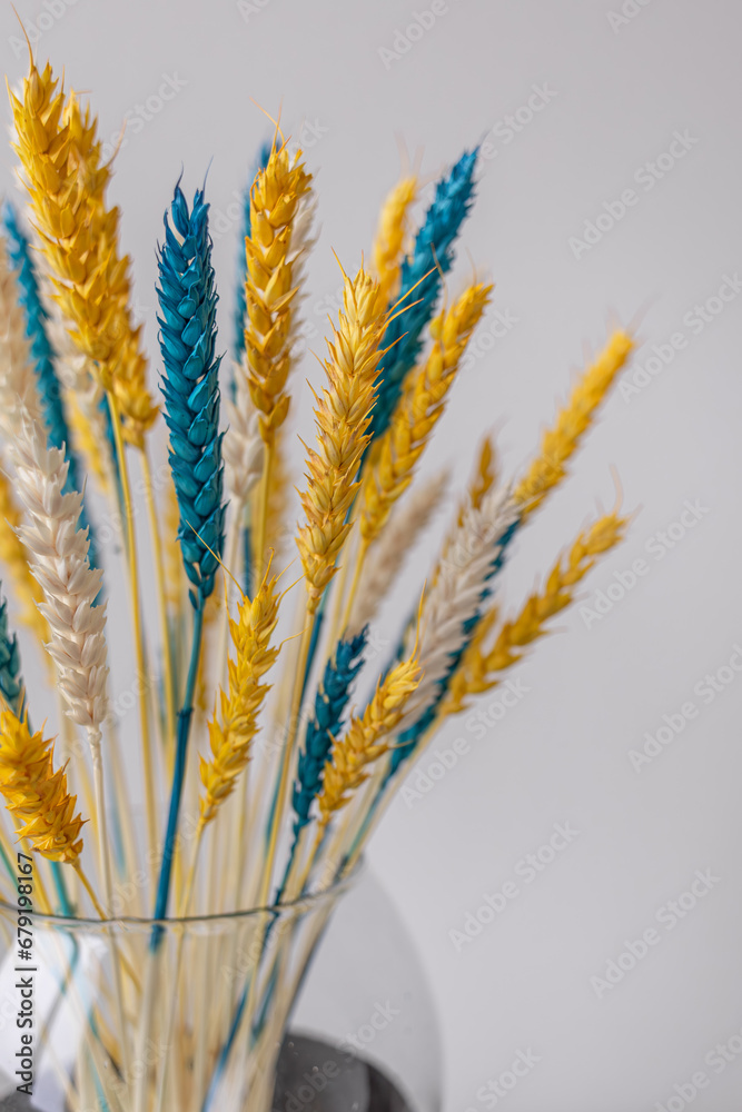 Colored wheat. Round glass vase. Symbol of Ukraine. Painted dried ...