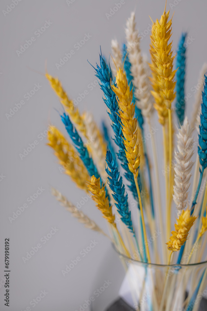 Colored wheat. Round glass vase. Symbol of Ukraine. Painted dried ...