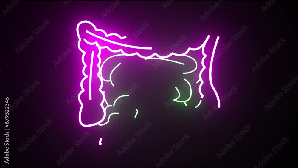 Purple neon anatomy of the human digestive system. Anatomy of the human ...