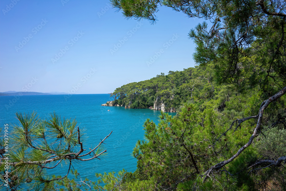 A breathtaking view of the azure sea glimpsed through the dense ...