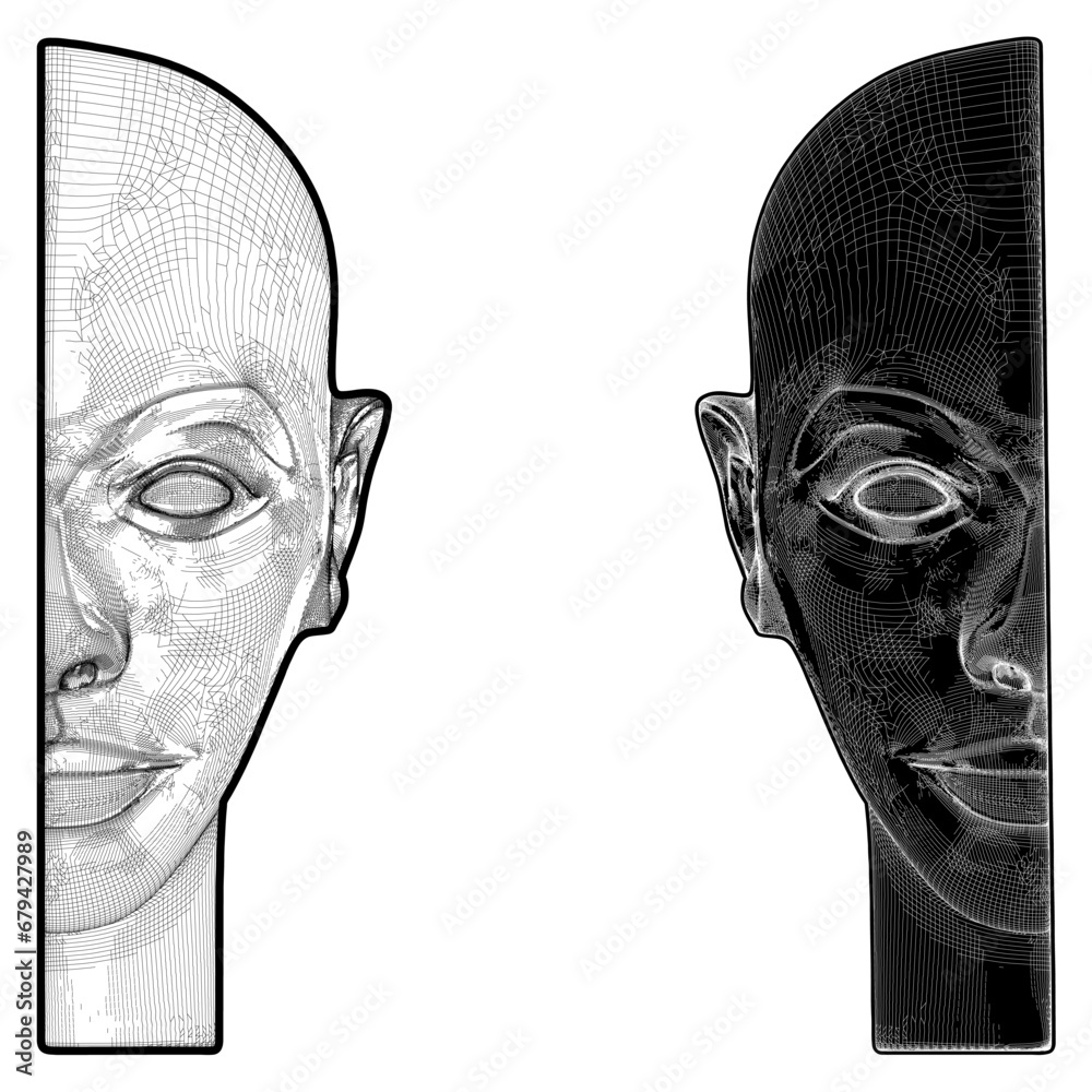 Man With Bald Head Vector. Male Head Divided Into Two Parts Black And ...