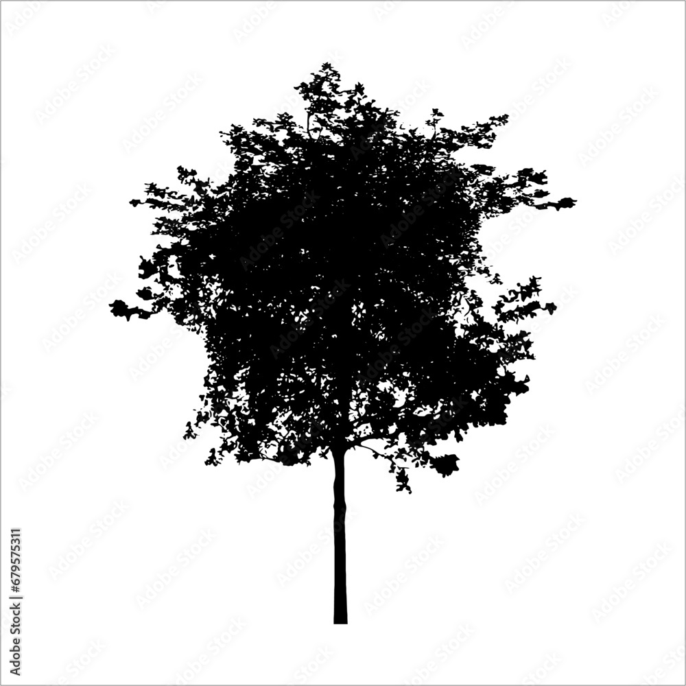 silhouette of a tree free trees line drawing, Side view, set of ...