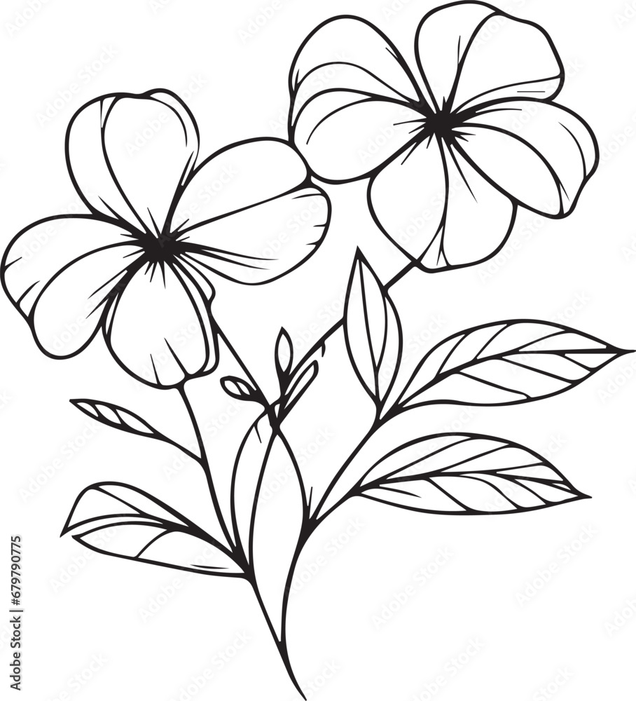 Minimalist single periwinkle flower drawings, periwinkle flower vector ...