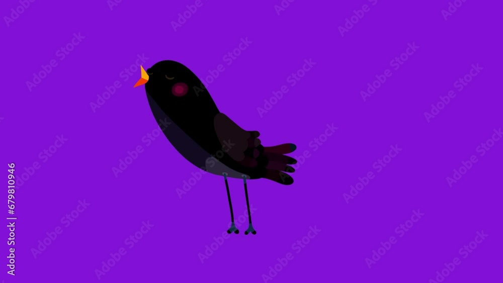Blackbird cartoon animation character isolated non stop singing ...