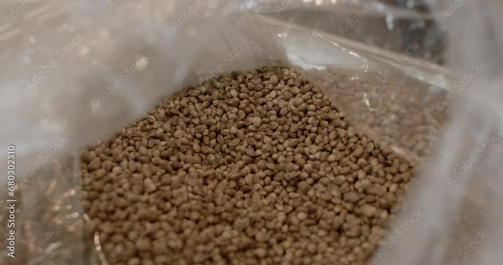 Close-up of hemp seeds in packet serve as a protein powerhouse. Packed ...