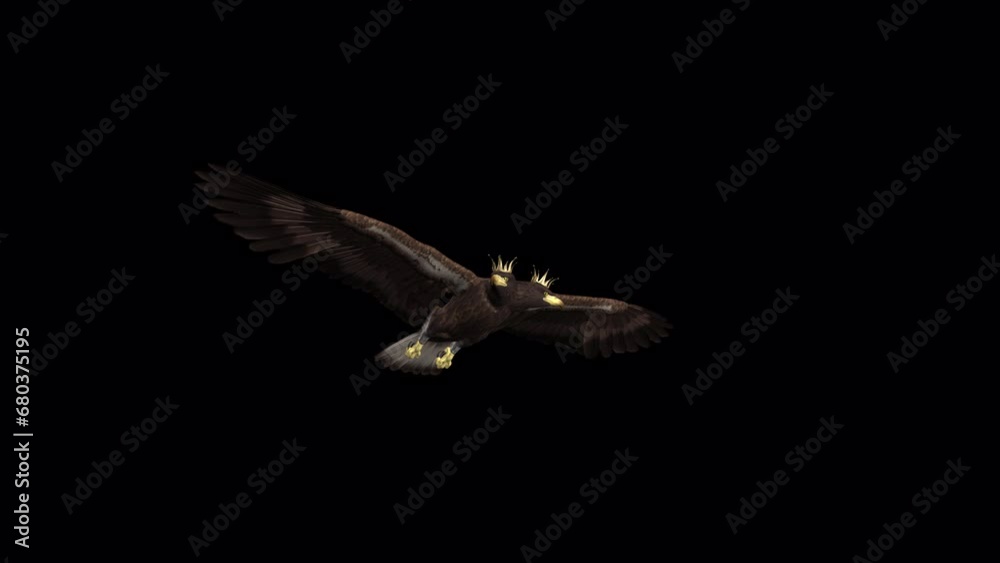 Double-Headed Eagle Bird - Imperial Symbol - Flying Loop - Low Angle ...