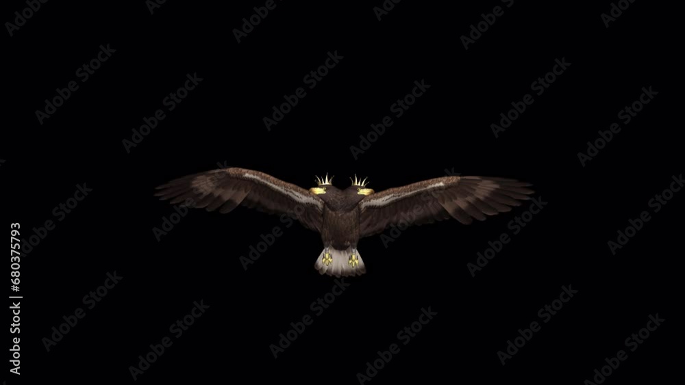 Double-Headed Eagle Bird - Imperial Symbol - Flying Loop - Front View ...