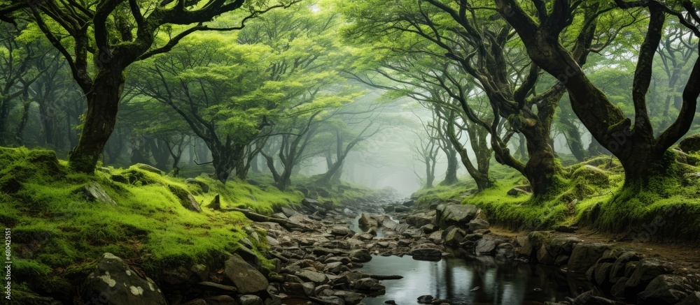 In Korea's scenic Jeju Island, the breathtaking landscape captivates ...