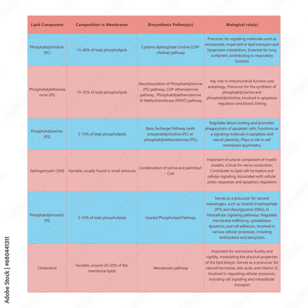 Table showing Phospholipids types, membrane composition, biosynthesis ...