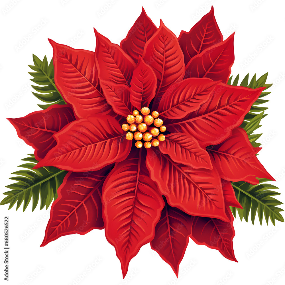 clipart of Poinsettia flower, christmas clipart, x-mas, holiday ...