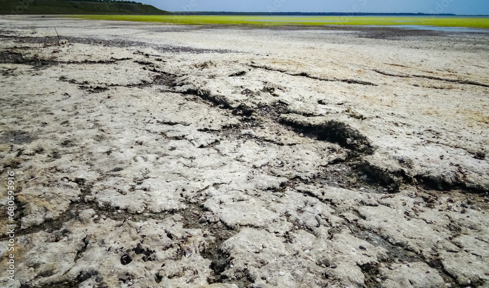 Dry green and red algae washed up on the shore of a shallow, drying ...