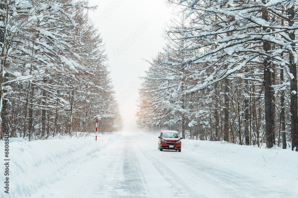 Beautiful snow road forest view during car driving in winter season ...
