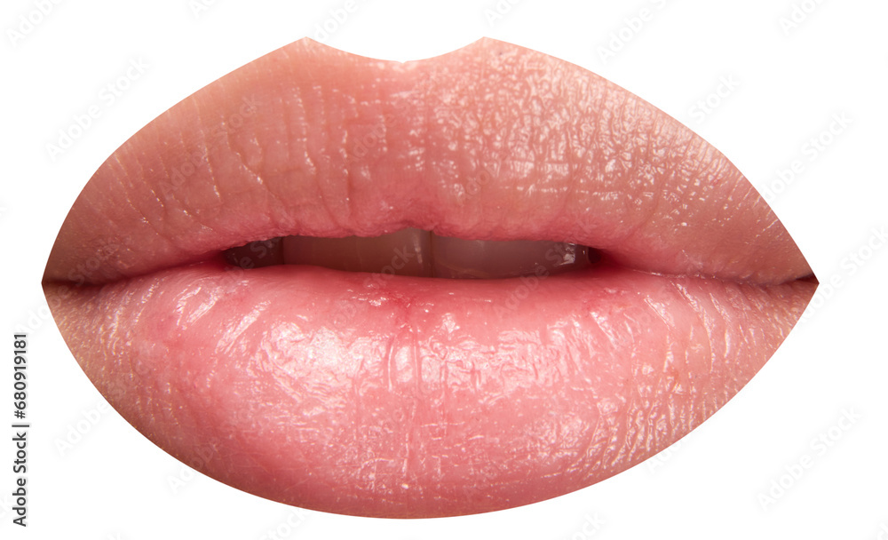 Perfect natural lip makeup. Close up photo of woman lips with glossy ...