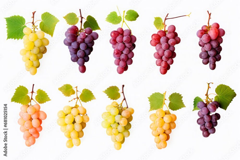 different types of grapes of various colors isolated on white ...